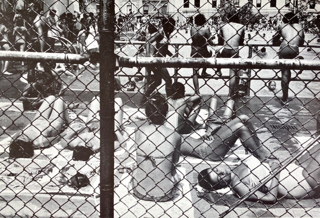 Flo Fox - Two by Two Media